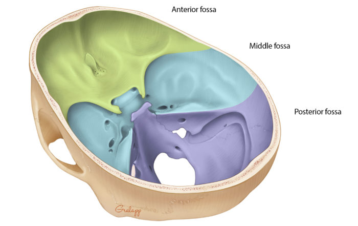 Overview of Temporal Bone – Oto Surgery Atlas